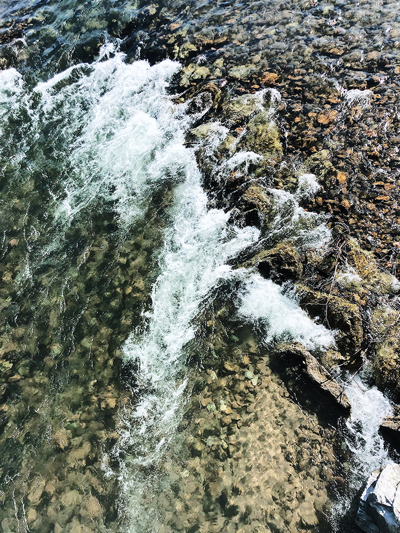 serenity surrounded by natural springs in Elizabethton, TN | day in my ...