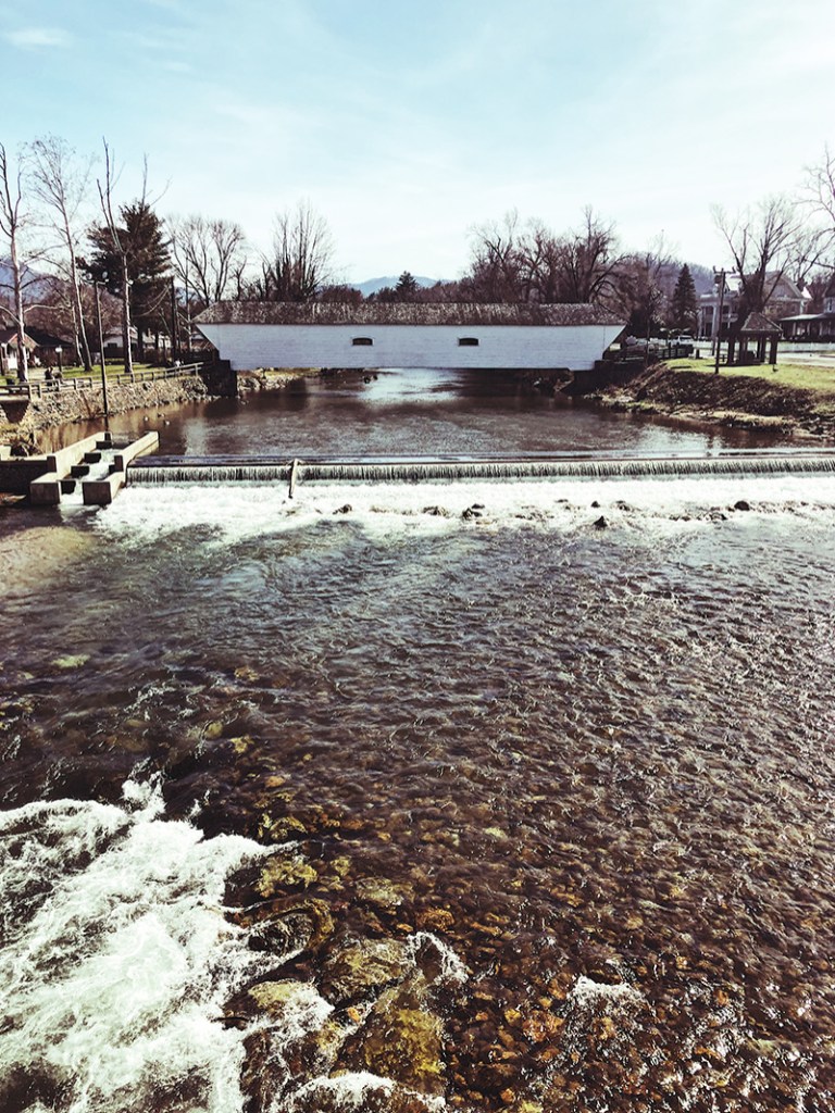 serenity surrounded by natural springs in Elizabethton, TN | day in my ...