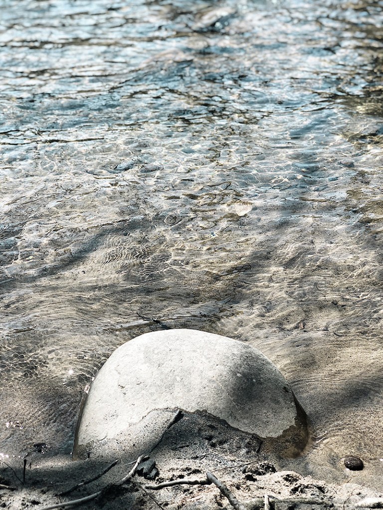 perspective of reality, emotions and fantasy | what is real life a day ...